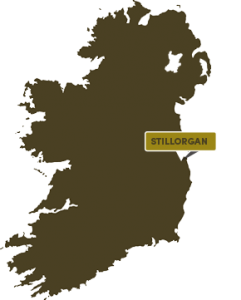 Stillorgan Sheils Buildings - Charles Sheils Charity